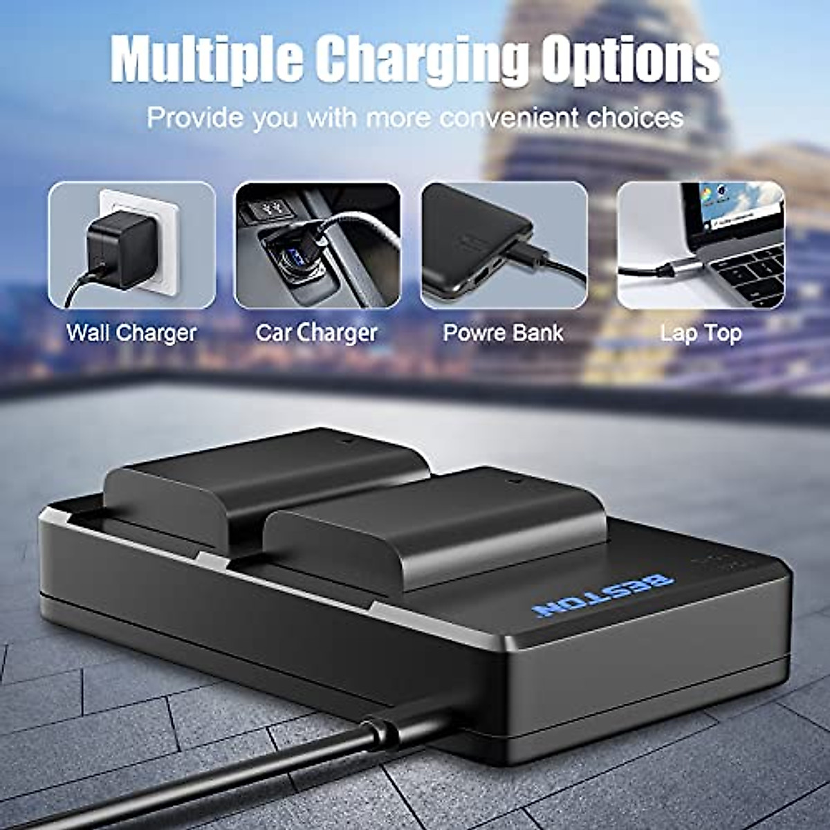 BESTON NP-FW50 Repacement Battery for Sony Camera and Charger for Sony ZV-E10 Alpha A7 A7II A7R A7RII A7S A7SII A55 A3000 A5000 A5100 A6000 A6300 A6400 A6500 Cyber-Shot DSC-RX10 II III IV Camera