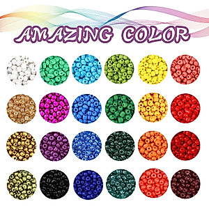 Efivs Arts Glass Seed Beads for Bracelet Making Kit, 24 Colors 6/0 4mm Small Pony Beads Multicolor Beading Beads with Container Box for Jewelry Making - Approx 6000pcs