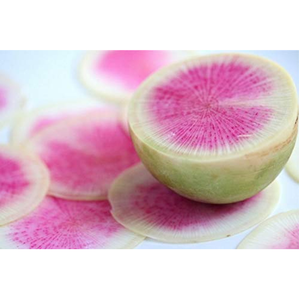 Watermelon Radish Seeds - Inside is red to Pink, Very Sweet and Crisp MMmmmm. (50 - Seeds)