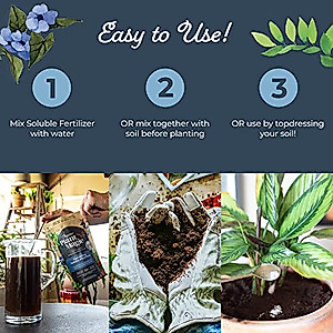 Organic Plant Magic - Truly Organic™ Fast-Acting Water Soluble Plant Food - All-Purpose Fertilizer Concentrate for Flower, Vegetable, Herb, Fruit Tree, Garden & Indoor Houseplants [One 1/2 lb Bag]