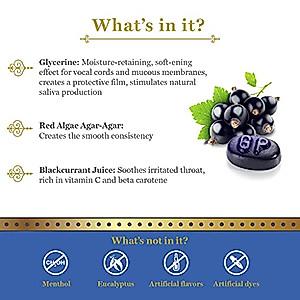 GRETHER'S Pastilles Original Blackcurrant Natural Remedy Dry Mouth Relief - Soothing Throat & Healthy Voice - Long-Lasting Flavor, Breath Refresh with Benefit - 1-Pack - 3.75 oz.