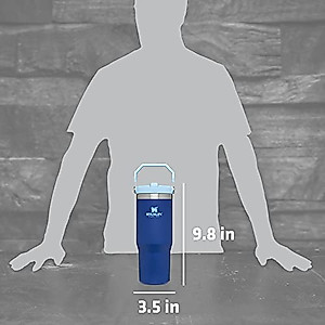 Stanley IceFlow Stainless Steel Tumbler with Straw - Vacuum Insulated Water Bottle for Home, Office or Car - Reusable Cup with Straw Leakproof Flip - Cold for 12 Hours or Iced for 2 Days (Lapis)