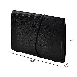 Lion 13-Pocket Small Ex panding File, 5-3/4 x 8-1/2 Inches, Black, 1 File (94300-BK)