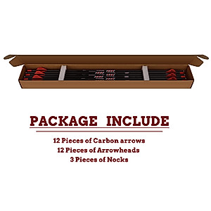 Hunting Archery Carbon Arrow 400 Spine with 2.5″ Vanes Removable Tips for Compound Bow &Recurve Bow (30 Inch)