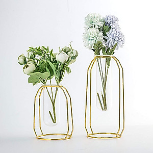 2 Pcs Flower Vases with Iron Art Frame, Geometric Plant Pot, Centerpiece Plant Vase, Plants Tabletop Display Holder for Wedding Table Office Living Room Decor (Gold, S+L)