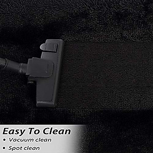 GAOMON Fluffy Rugs 8x10 Furry Area Rug for Bedroom, Fuzzy Shag Fur Rug for Nursery Room Non-Skid Plush Throw Rug Shaggy Decorative Accent Rug for Living Room Indoor Home Floor Carpet, Black