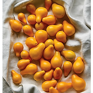Burpee 'Yellow Pear' Heirloom, Yellow Pear Tomato, 150 Non-GMO Seeds