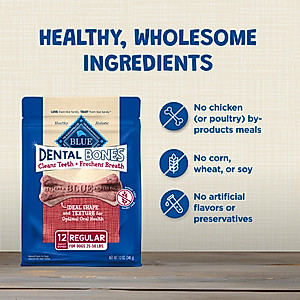 Blue Buffalo Dental Bones Regular Natural Dental Chew Dog Treats Bag