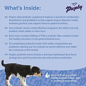 Puply Probiotics for Dogs- Veterinarian-Formulated- Beneficial Prebiotics and Probiotics- Supports Digestive, Immune, Gut Health, Allergy, Diarrhea, Yeast, Itching- Soft Chews- 90 Count- Duck Flavor