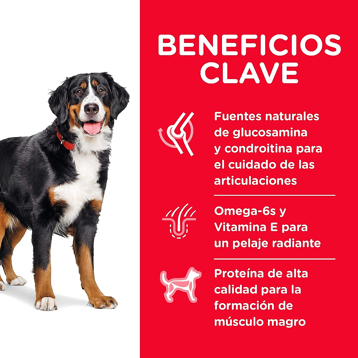 HILL'S Science Diet Large Breed Adult Dry Dog Food, 35 lbs.