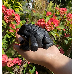 Percussion Instruments Wooden Frog 3 Pcs Set of 4 Inch Frog, 3 Inch Frog, 2.25 Inch Frog, Wooden Frog Musical Instrument Home Decor. (Black/Green/Brown Colors)