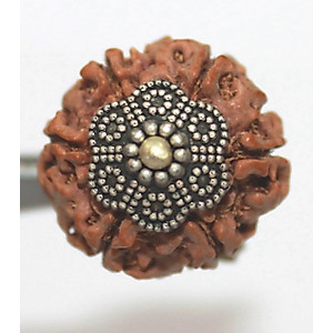 IndianStore4All 6 Mukhi Nepal Rudraksha Penadnt 100% Original Six Face Rudraksha