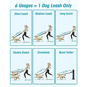 oneisall Hands Free Dog Leash,Multifunctional Dog Training Leads,8ft Nylon Double Leash for Puppy,Small & Large Dogs