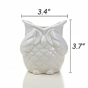YONGYAN Owl Flower Pot Statue Decoration Ceramics Garden Planters Containers Pot Bookshelf Office Desktop Decor
