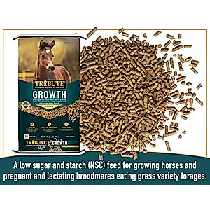 TRIBUTE Kalmbach Feeds Growth Pellets for Horse, 50 lb