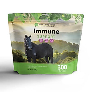 Silver Lining Herbs 24 Equine Immune Support - Natural Herbal Aid to Boost Horse Immune System, Stamina, & Endurance - Health Support for Horses - Natural Immunity Booster for Horses - 5 lb Bucket