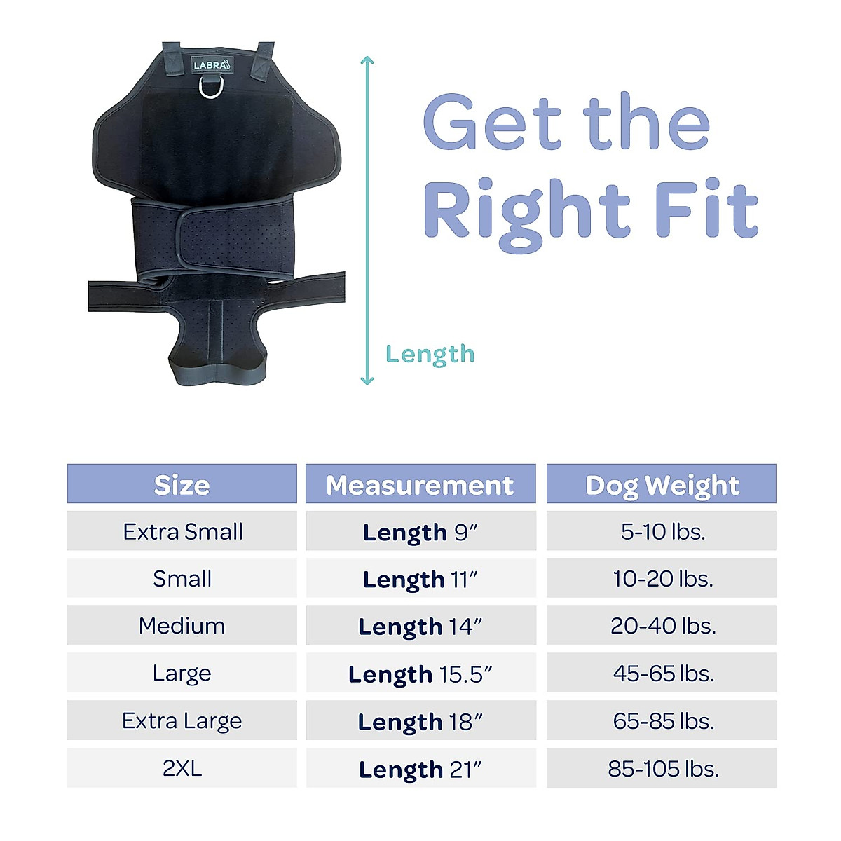 Labra Dog Canine K9 Back Brace - IVDD Spine Pain & Spinal Injury, Arthritis, Bulging Discs Brace for Corgis, Dachshund, Post Surgery Recovery, Rehab, Inflammation - Small