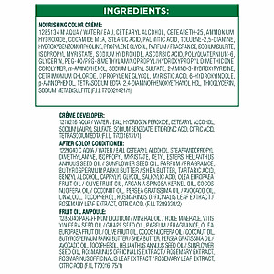 Garnier Hair Color Nutrisse Nourishing Creme, 33 Darkest Golden Brown (Caramel Fudge) Permanent Hair Dye, 1 Count (Packaging May Vary)