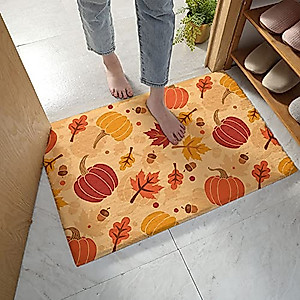 Thanksgiving Pumpkin Doormat Fall Soft Shag Non Slip Bath Rugs,Maple Leaf Seamless Entryway Fuzzy Carpet,Farm Berry Indoor Floor Cozy Mats,Washable Door Mat Entry Rugs for Bedroom Kitchen 24x35in