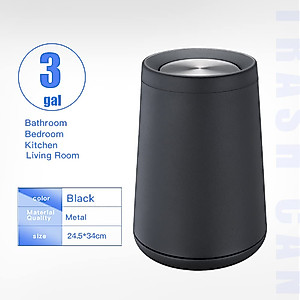 BRIEFHUMAN Household Swing Black Bathroom Trash Can，Brushed Stainless Steel，10 L/3 Gallen，Garbage Can with Flipping Lid， for Indoor or Commercial Use, Kitchen,Modern，Living Room,Bedroom