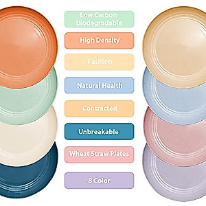 DAPIPIK 8 Pieces 10 Inch Wheat Straw Plates, Unbreakable Dinner Plates, Lightweight Straw Plates, Dishwasher & Microwave Safe, Perfect for Dinner Dishes, Healthy for Kids & Adult