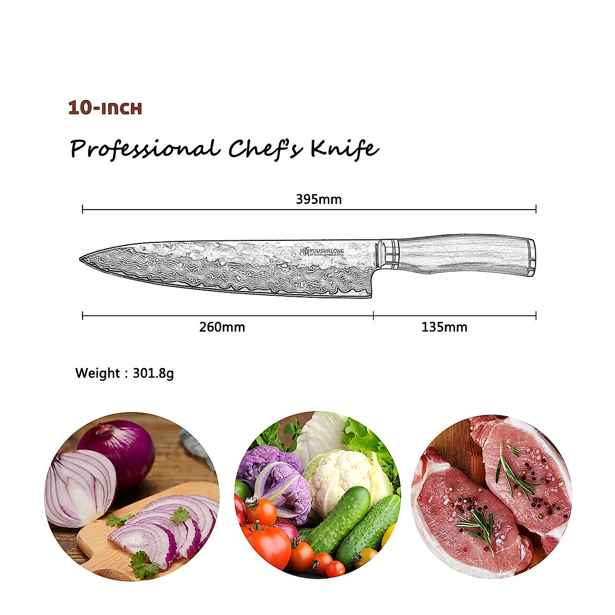 YOUSUNLONG Gyuto 10 inch Pro Chef's Knives Japanese Hammered Damascus Natural Leadwood Handle with Leather Sheath