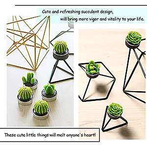 Swpeet 12Pcs Decorative Succulent Cactus Tealight Candles Kit, Cute Smokeless Succulent Plants Perfect for Candles Festival Wedding Props and House-Warming Party