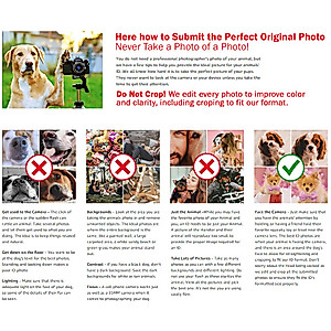 Just 4 Paws Custom Service Dog ID Card with QR Code & Security Seal and Optional Holograph | Registration to U S Service Dogs Registry Plus ID Holder & Digital ID - Portrait Style
