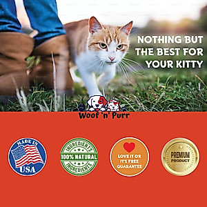 Natural Cat Antibiotic - Antibiotics for Cats - Pet Antibiotics - Cat Antibiotics - Cat Allergy Relief for Cats - Antibiotic for Cats - Cat UTI Antibiotics - 1 fl oz: Roast Chicken Flavor