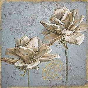 Posterazzi Seed Pod II no Words Poster Print by Beth Grove, (12 x 12)