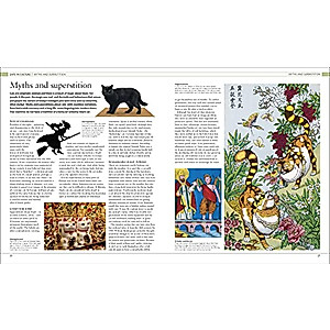 The Cat Encyclopedia: The Definitive Visual Guide (DK Pet Encyclopedias)