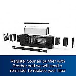 Brother DF-2 High-Efficiency Filter Replacement Model Number FH221, Black