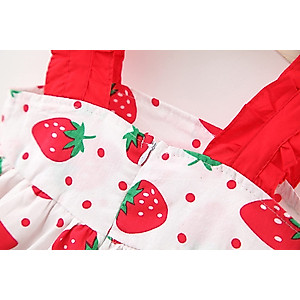 Gifts for One Year Old Girl Print Baby Clothes Princess Outfit Hat Girls Dress Suspenders Strawberry (Red, 18-24 Months)
