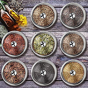 hanmir Stainless Steel Sugar Bowl with Clear Lid and Sugar Spoon 8.1 Ounces(240 Milliliter) Sugar Container for Home and Kitchen