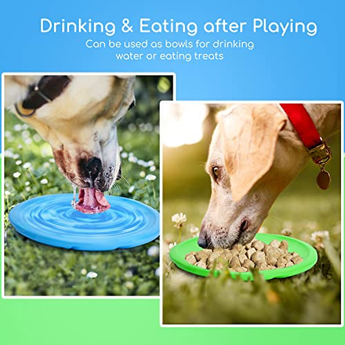 Nobleza 2 Pack Dog Flying Disc, Flexible Floatable Dog Disc Toy for Long-Distance Flies and Floats, Lightweight Soft Flying Discs Toy for Small Medium Large Dogs to Fetch & Catch, Blue & Green