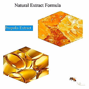 2PCS Bee Balm Lip Balm Honey Pot,Propolis Moisturizing Honey Lip Mask Lip Balm,Hydrating & Prevention Dry and Cracked Lip Scrubs Exfoliator (A)