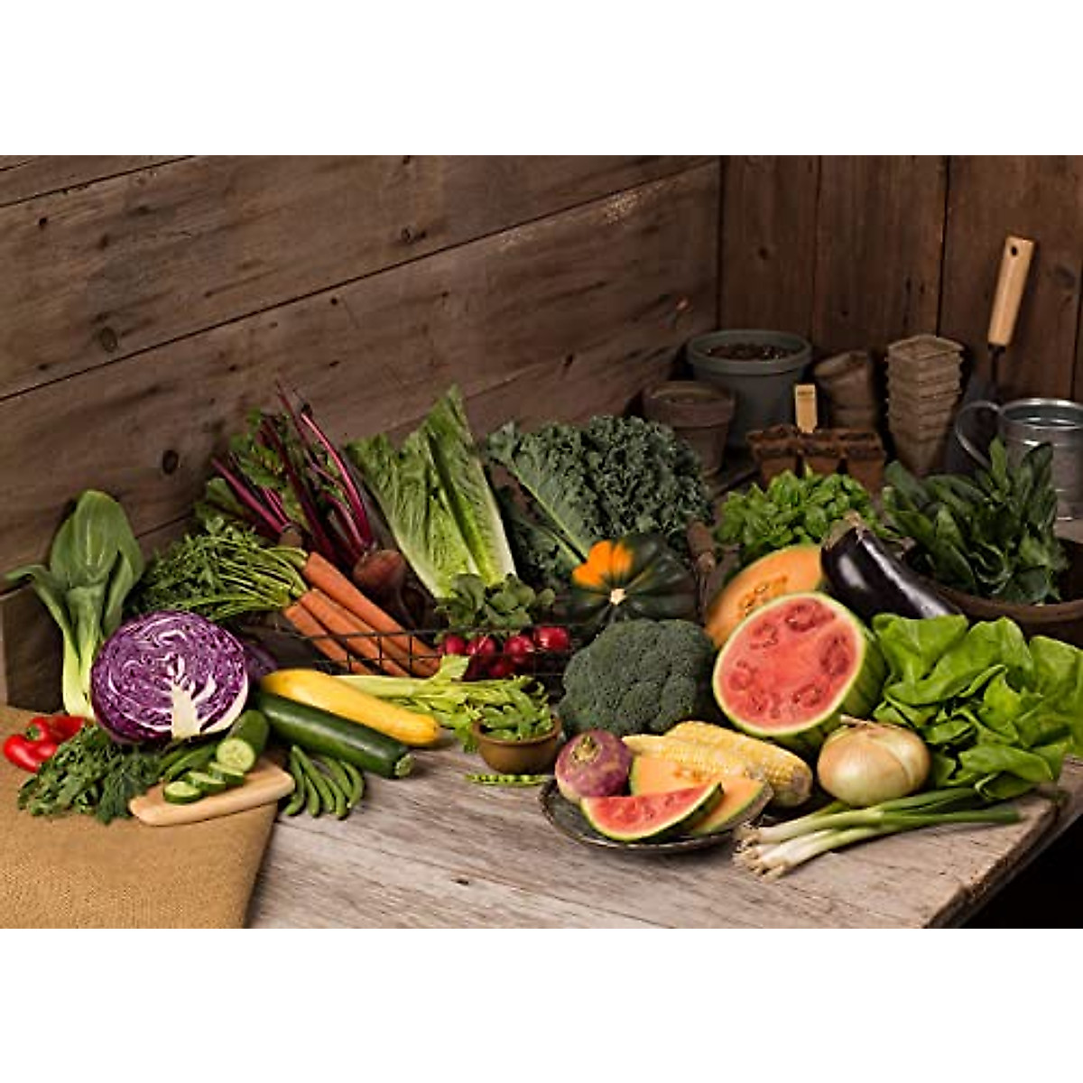 Bentley Seed Co. Set of 40 Vegetable Seeds for Planting - Gardening Seeds to Grow in a Garden or Indoors - Get your own Seeds for Planting Vegetables - Herb Seeds - Garden Seeds Vegetable Variety Pack