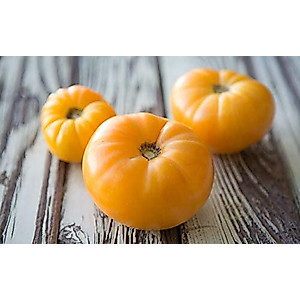 Amana Orange Beefsteak Heirloom Tomato Seeds for Planting, 50+ Heirloom Seeds Per Packet, Non GMO Seeds, (Isla's Garden Seeds), Botanical Name: Lycopersicon esculentum, Great Home Garden Gift