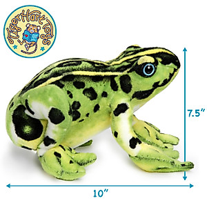 TigerHart Frisco The Frog - 10 Inch Poison Dart Tree Toad Stuffed Animal Plush