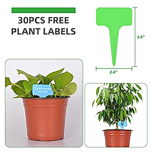 Kleeblatt 100 Pcs Nursery Pots 6 Inch, Plastic Planter Nursery Pots with 30 Pcs Plant Labels, Seedling Pots and Seedling Flower Plant Container