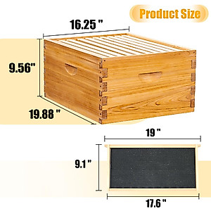 Honey Lake 10 Frame Bee Hive Starter Kit, Complete Beehive Kit for Beekeepers Dipped in 100% Beeswax Includes 1 Deep Brood Box & 1 Medium Super Bee Box with Beehive Frames and Waxed Foundation Sheet