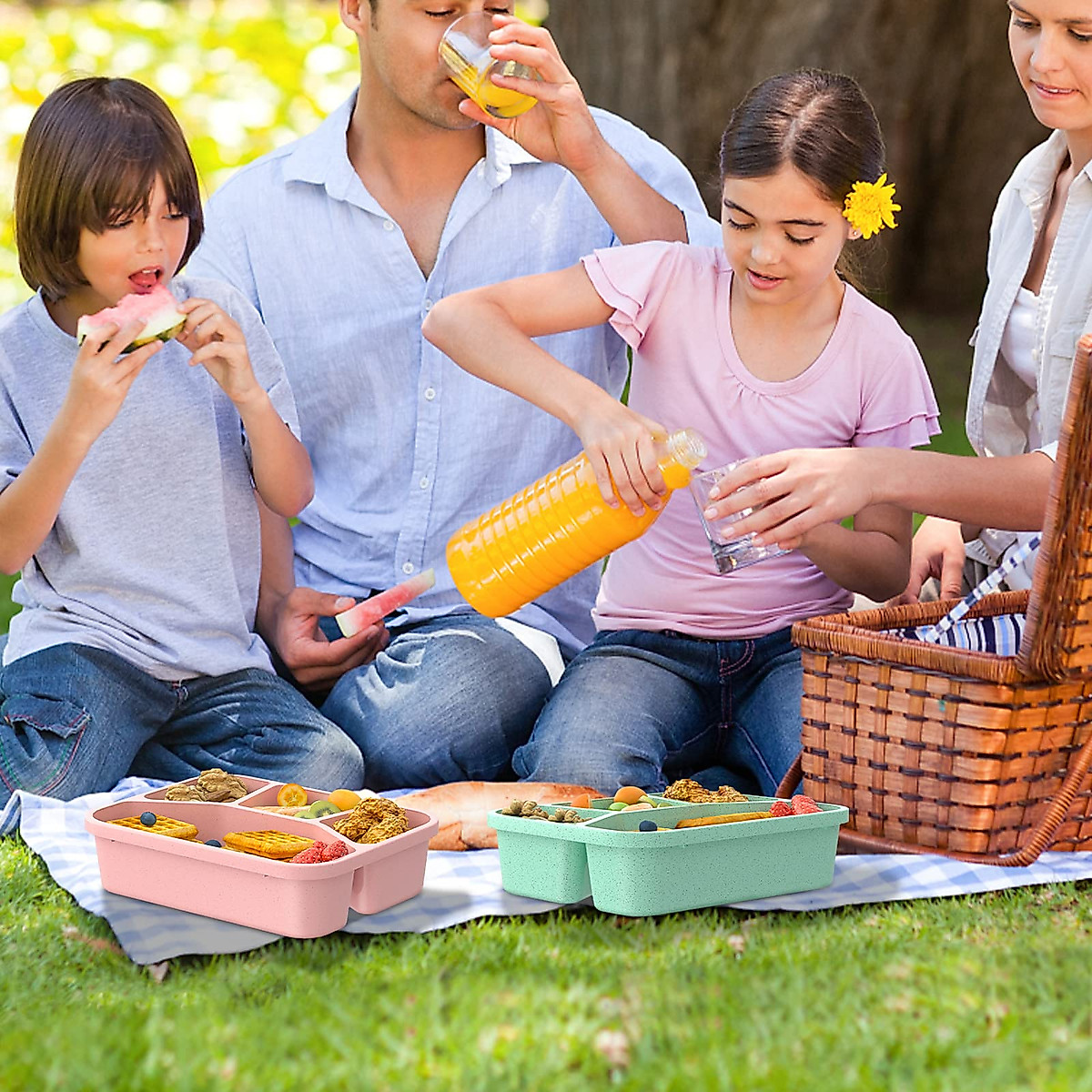Bento Lunch Box for Kids (4 Pack), 4-Compartment Meal Prep Container with Transparent Cover, Freezer and Dishwasher Safe Food Storage Containers, Reusable Bento Adult Lunch Box for Work School Travel