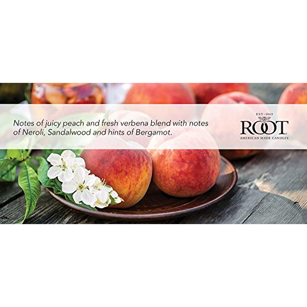 Root Candles Scented Tealights Beeswax Blend 4-Hour Tealight Candles, 8-Count, Peach Blossom