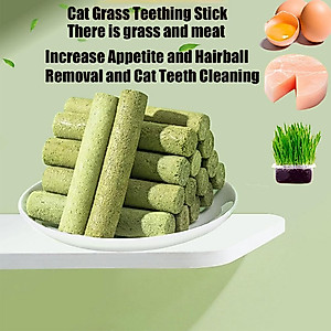 GDSAFS Cat Grass Teething Stick, Cat Grass for Indoor Cats, Cat Grass Sticks, Freeze Dried Cat Grass Tooth Grinding Stick for Hairball Removal, Teeth Cleaning, Increase Appetite (18pcs)