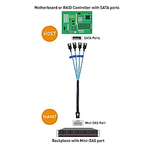 Cable Matters Internal Mini SAS to SATA Reverse Breakout Cable (SFF-8087 to SATA) 1.6 Feet