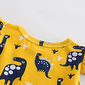 Jeinxcn Toddler Baby Girl Dinosaur Party Dress Summer Holiday Dress Outfit Clothes 4T