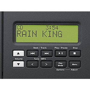 Bose Acoustic Wave Music System II - Graphite Gray