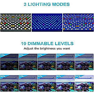Relassy 300W Large Aquarium Light, Fish Tank Light with 676 LED and Remote Control, Adjustable Brightness Sunrise Sunset Mode and 24H Timer Function, Dimmable Reef Aquarium Lights for Fish Tank