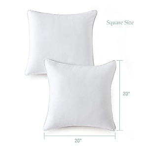Seward Park Throw Pillow Inserts 20 x 20 in Set of 2 for Couch and Sofa, Soft Fluffy Square Form Down Alternative Cushion Decorative Pillow Inserts
