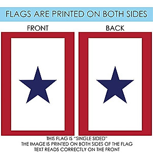 Toland Home Garden 112177 Service Star Flag 12x18 Inch Double Sided Garden Flag for Outdoor House Patriotic Flag Yard Decoration